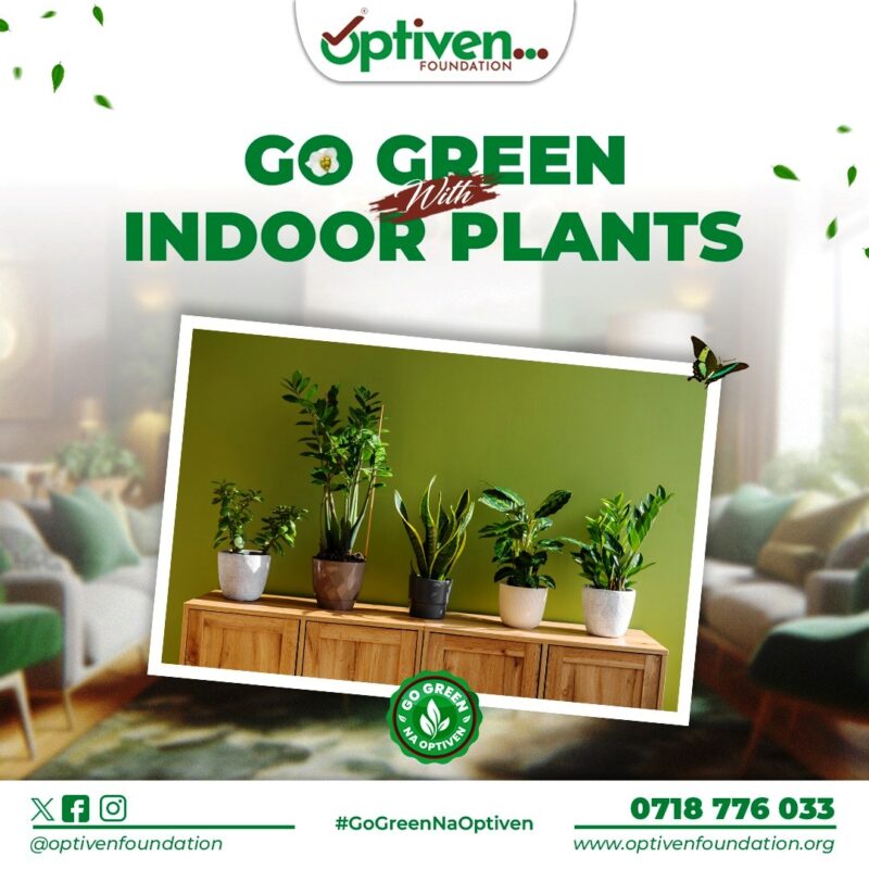 Indoor Greening – Optiven Foundation